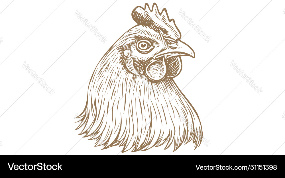 Chicken hen head vintage retro print Royalty Free Vector