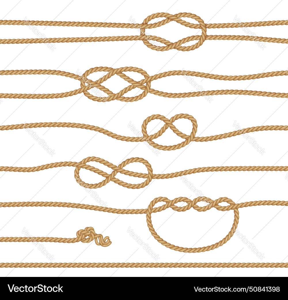 Ropes with loose knots isolated Royalty Free Vector Image