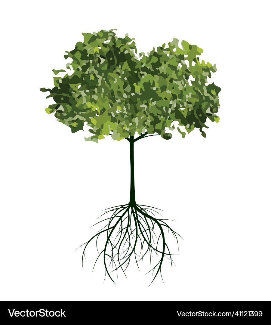 Green tree with roots outline Royalty Free Vector Image