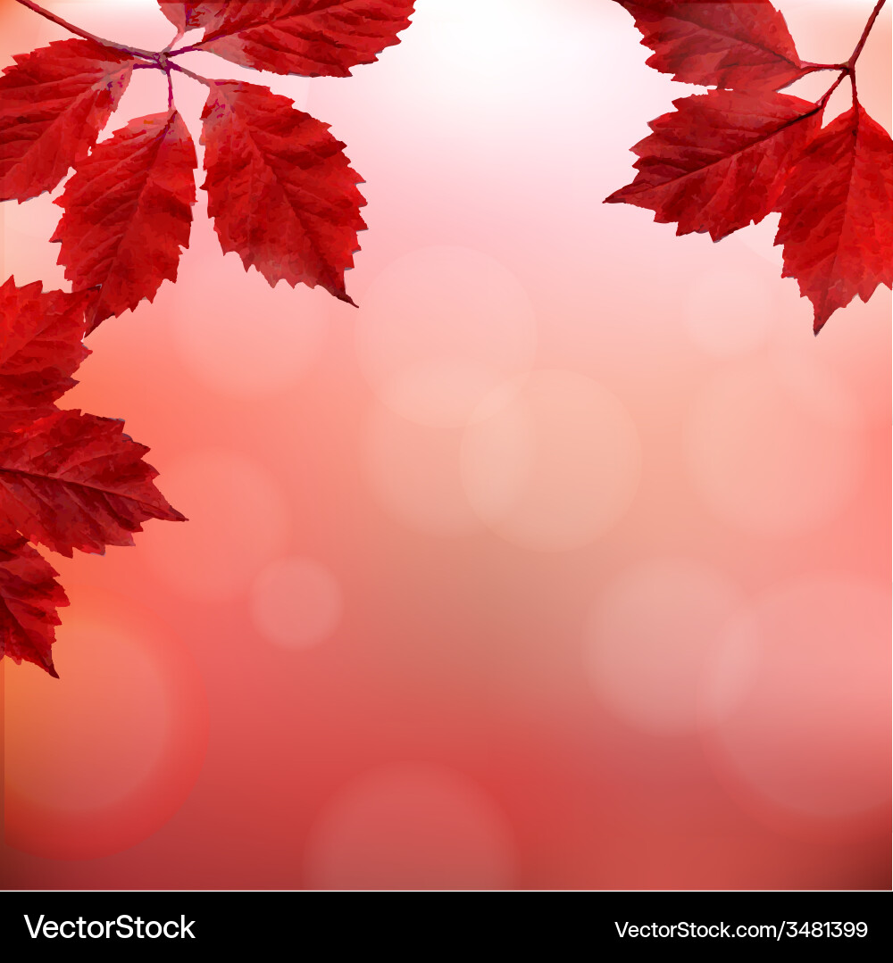 Red border Royalty Free Vector Image - VectorStock