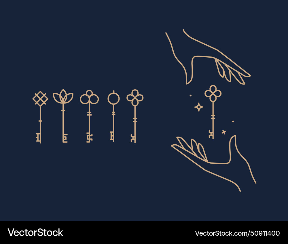 Linear key collection blue Royalty Free Vector Image