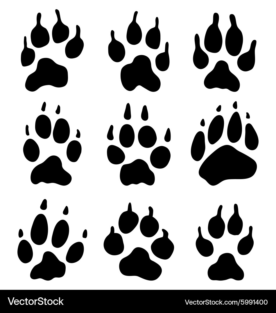Wolf paw Royalty Free Vector Image - VectorStock
