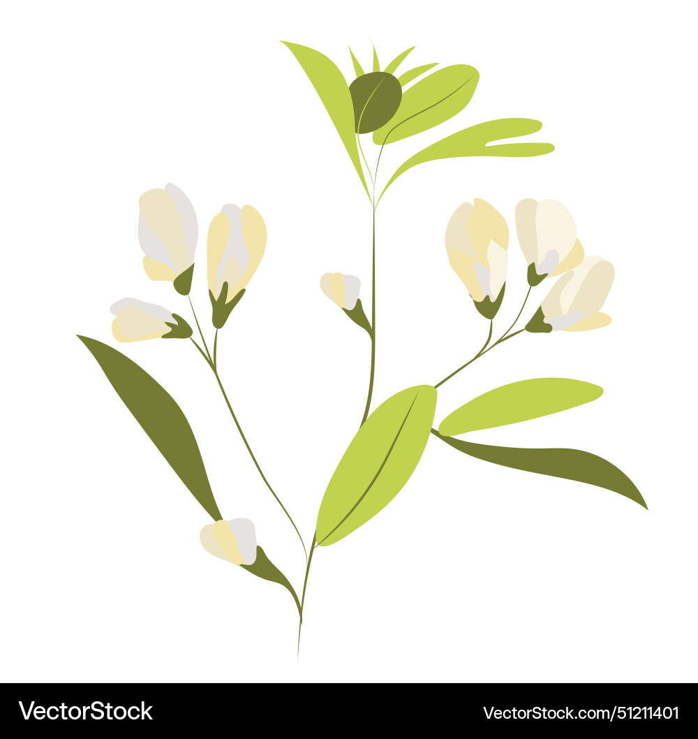 Abstract white pea flowers on twig in flat design Vector Image