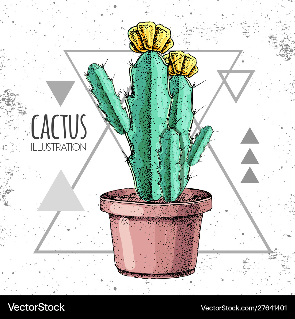 Hand drawing cactus Royalty Free Vector Image - VectorStock