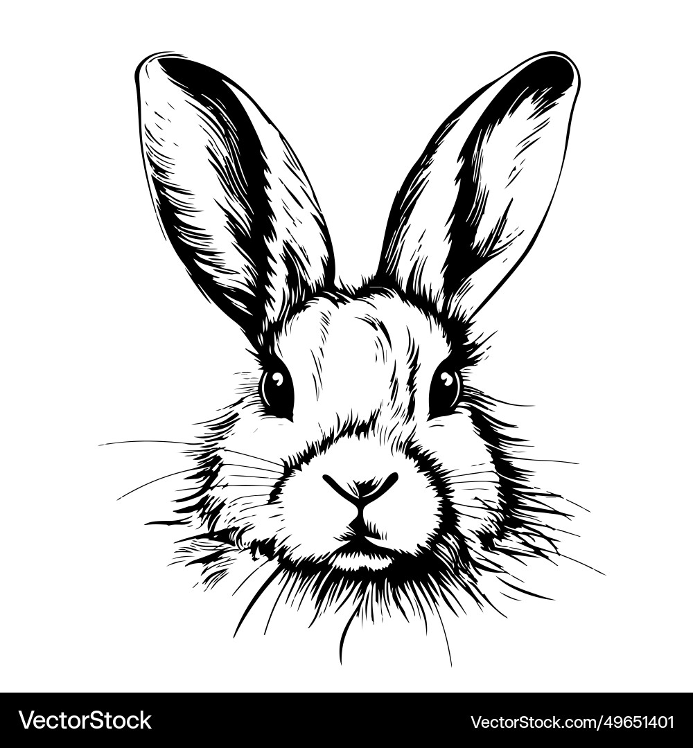 Rabbit line art vintage bunny tattoo or easter Vector Image