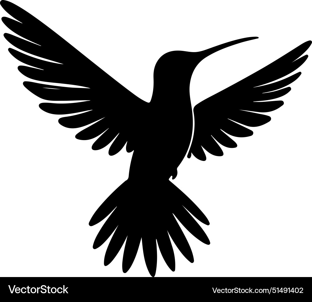 Flying hummingbirds silhouette isolated on white Vector Image