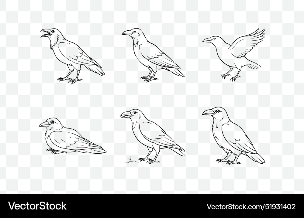 Print elegant crow line art set Royalty Free Vector Image