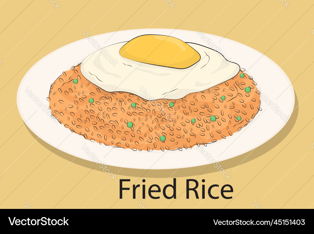 Hand drawn fried rice with egg in design Vector Image