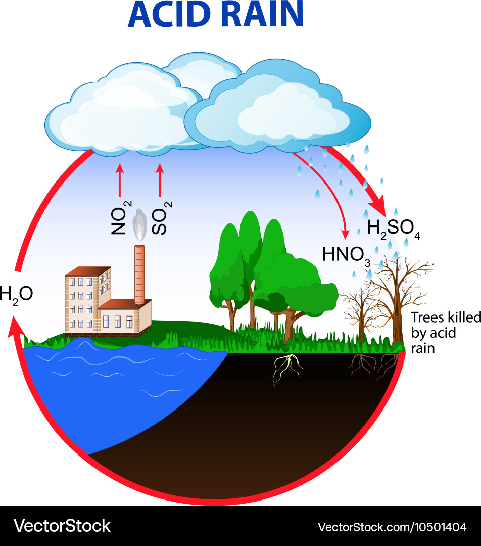 Acid Rain Vector Images (over 2,100)