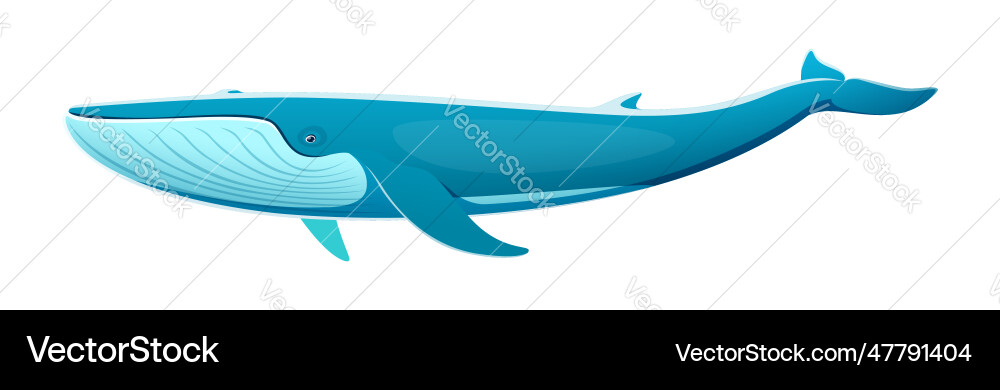 Blue whale character magnificent sea creature Vector Image