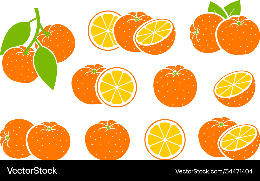 Mandarin Royalty Free Vector Image - VectorStock
