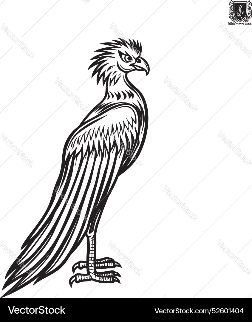 Phoenix rising logo design of mythical bird Vector Image