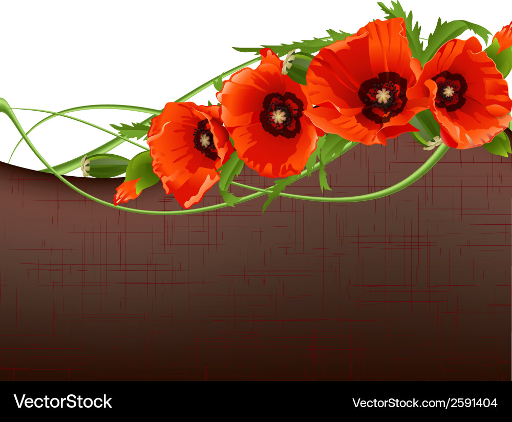 Poppy background Royalty Free Vector Image - VectorStock