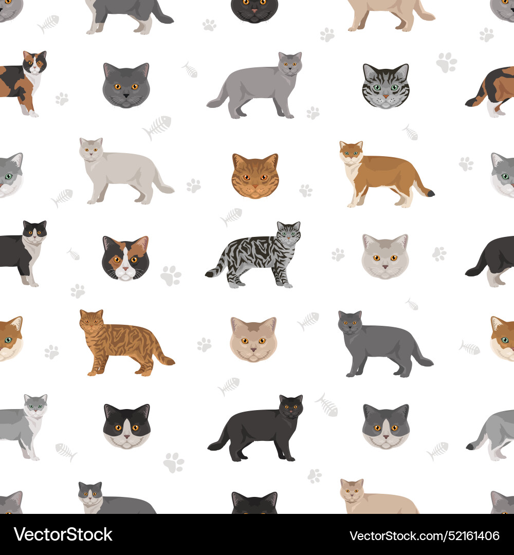British shorthair cat seamless pattern all coat Vector Image