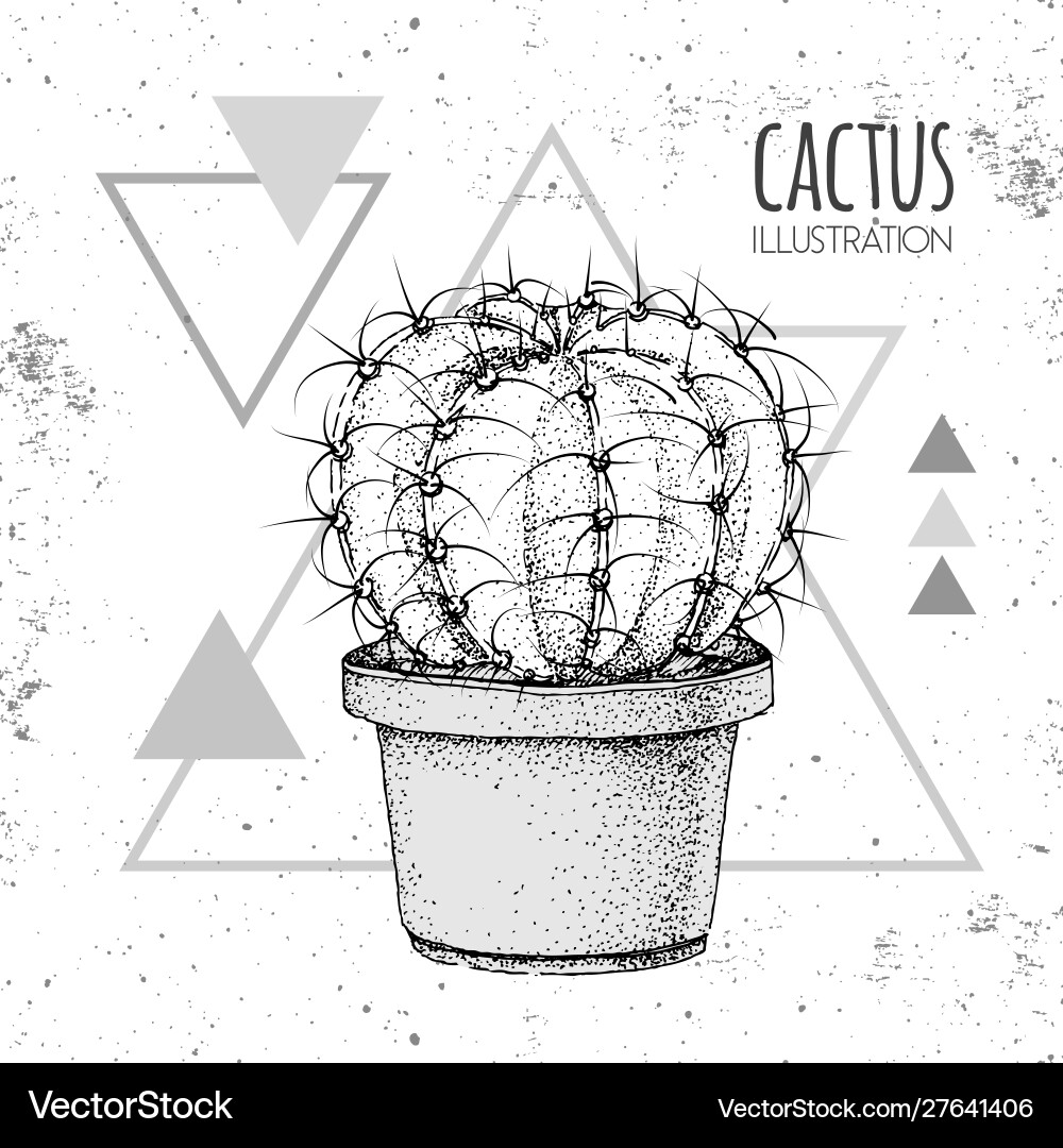 Hand drawing cactus Royalty Free Vector Image - VectorStock
