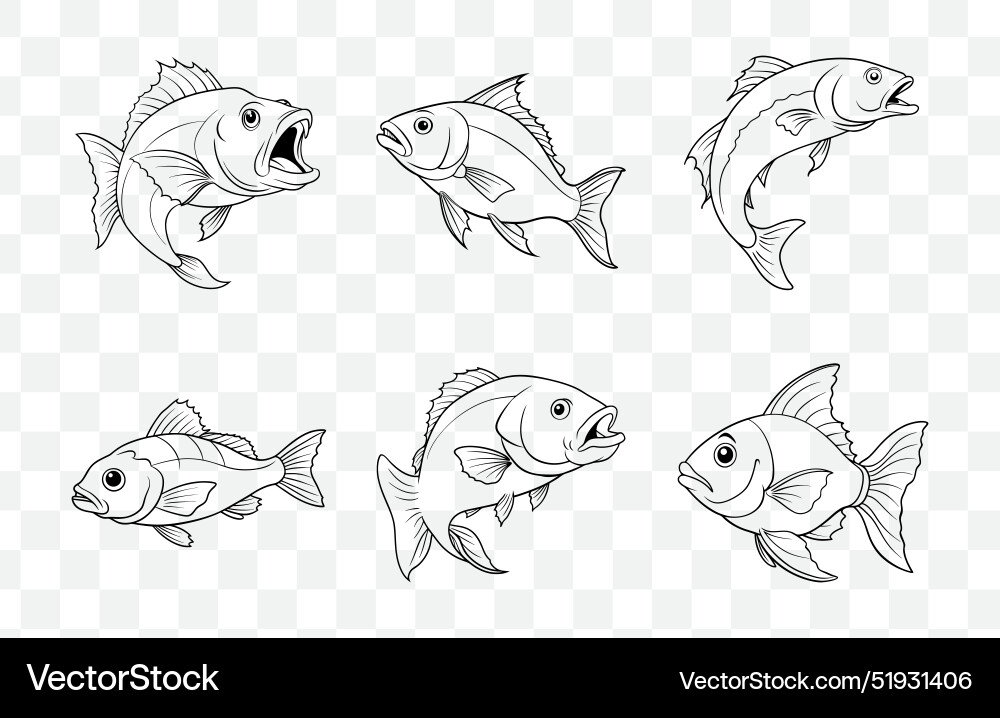 Print exquisite fish line art set Royalty Free Vector Image