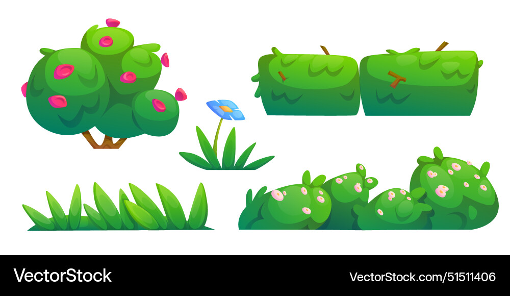 Spring grass border isolated plant and flower Vector Image