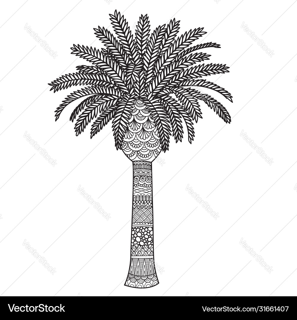 Palm Tree Line Art Royalty Free Vector Image - VectorStock