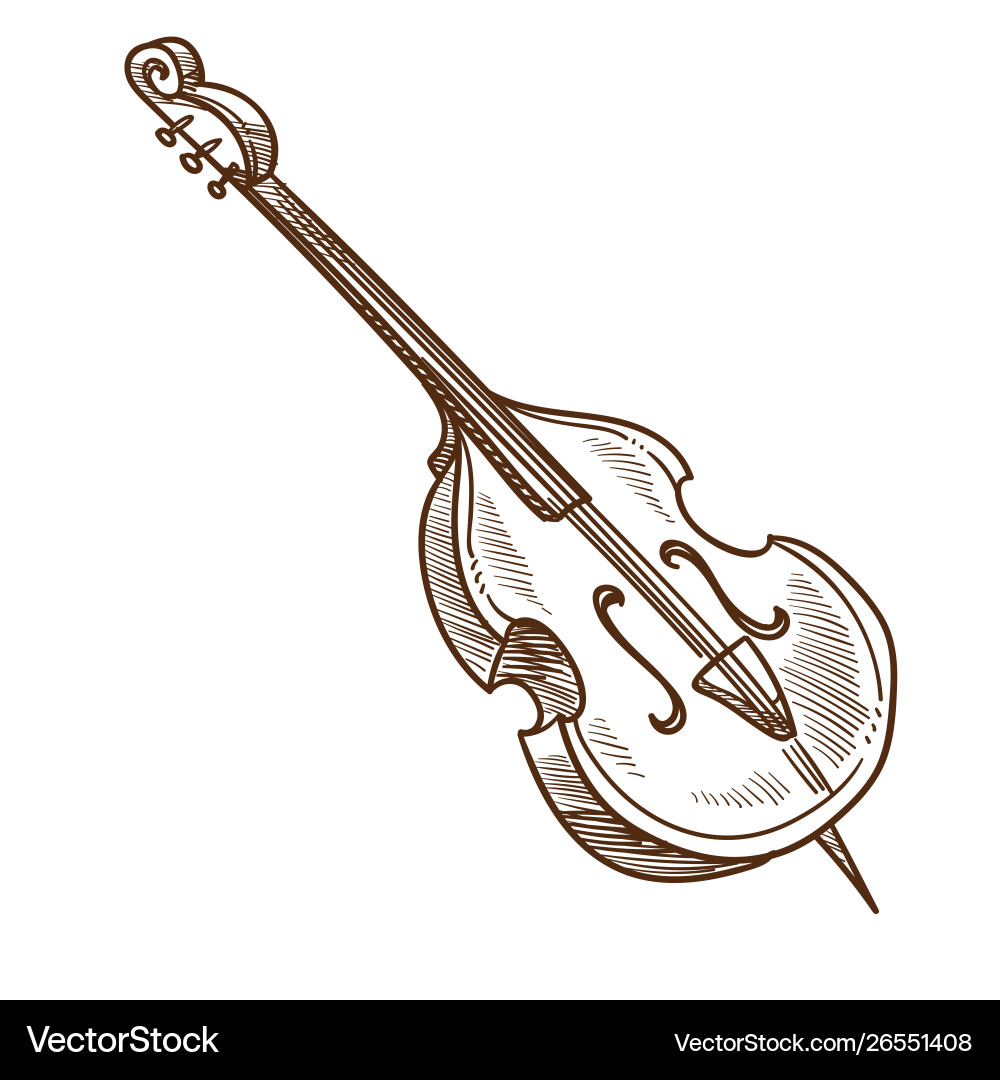 Musical instrument violoncello or cello classic Vector Image