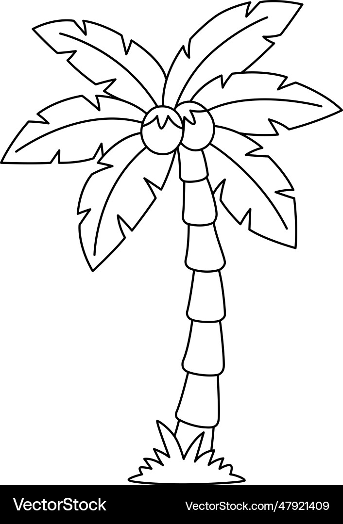 Coconut tree isolated coloring page for kids Vector Image