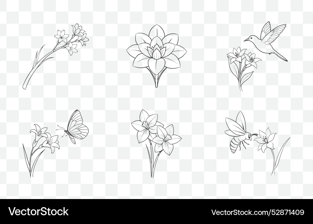 Print tuberose flower line art set Royalty Free Vector Image