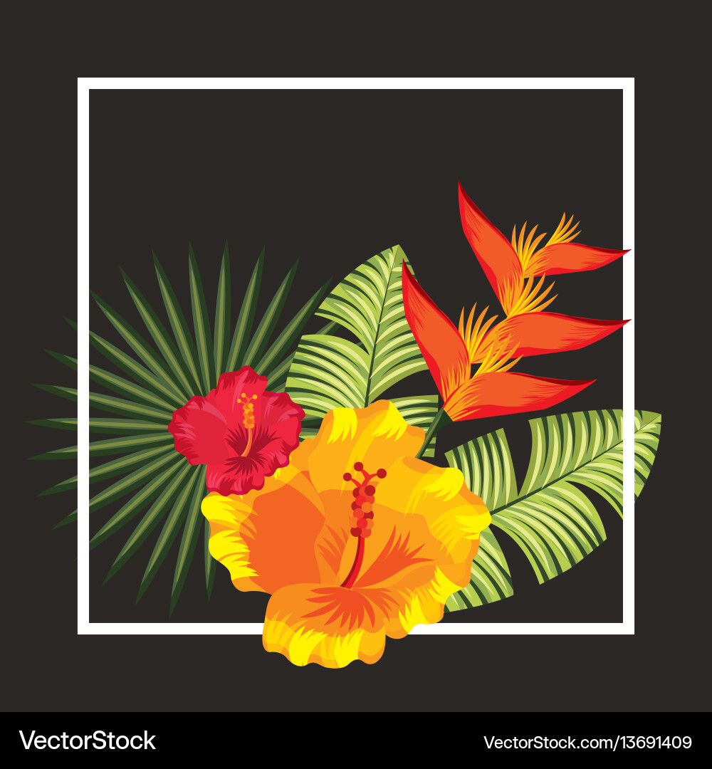 Tropical flowers design Royalty Free Vector Image