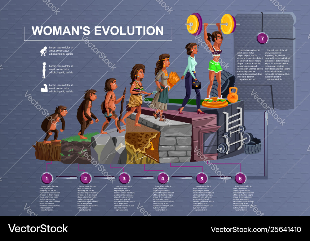Human Evolution Timeline Royalty Free Vector Image