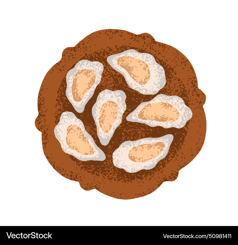 Fresh oyster in shells on plate open shellfish Vector Image