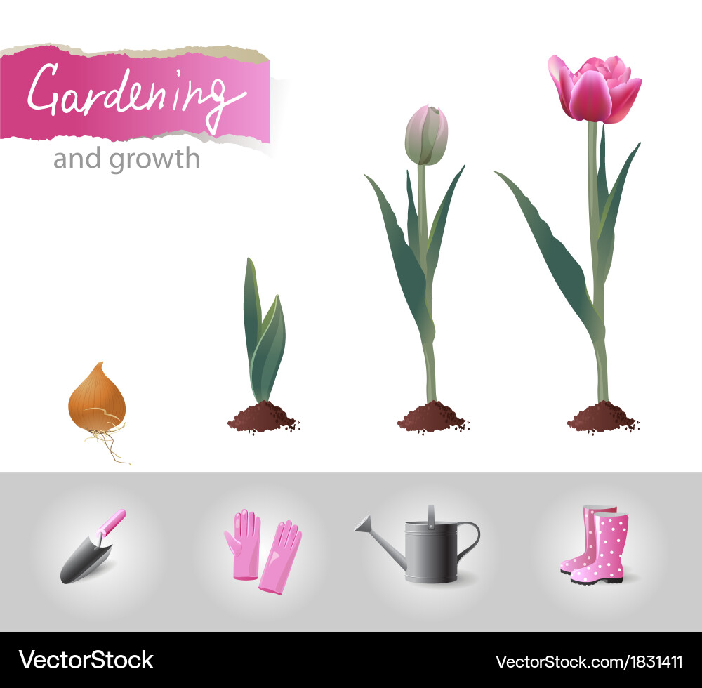 Gardening icons Royalty Free Vector Image - VectorStock