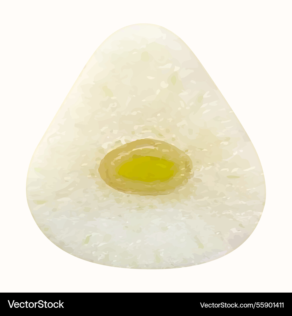 Garlic clove in section isolated on white Vector Image