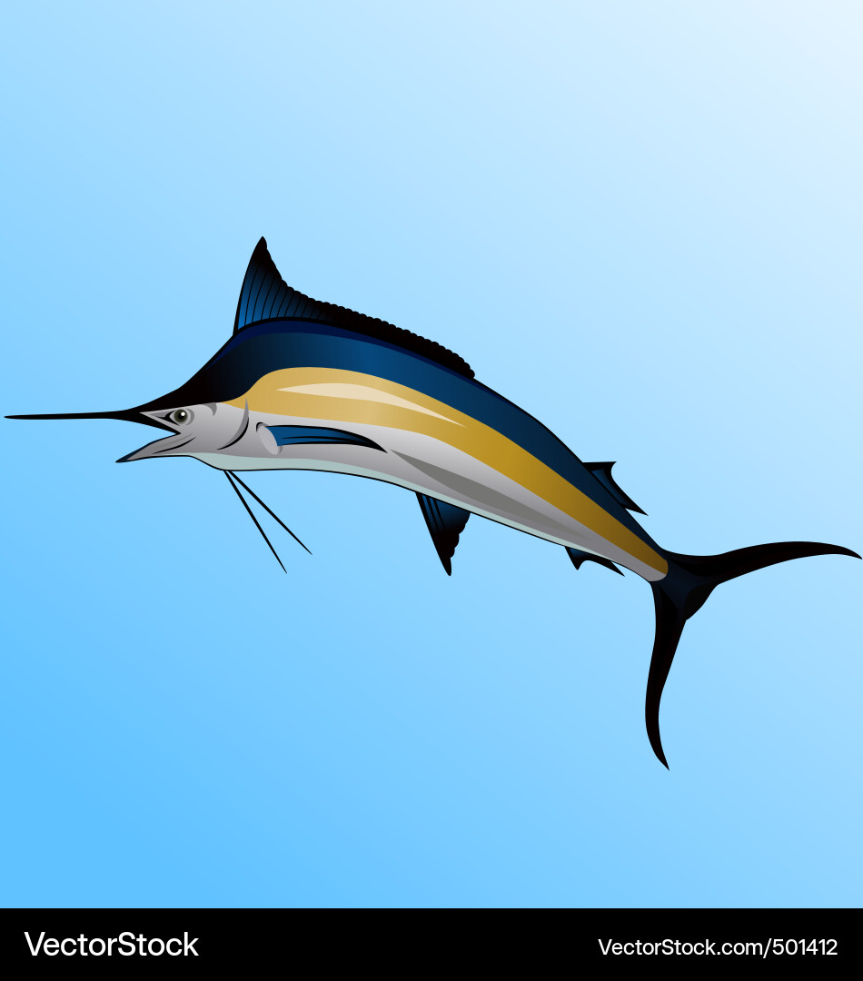 Marlin Royalty Free Vector Image - VectorStock