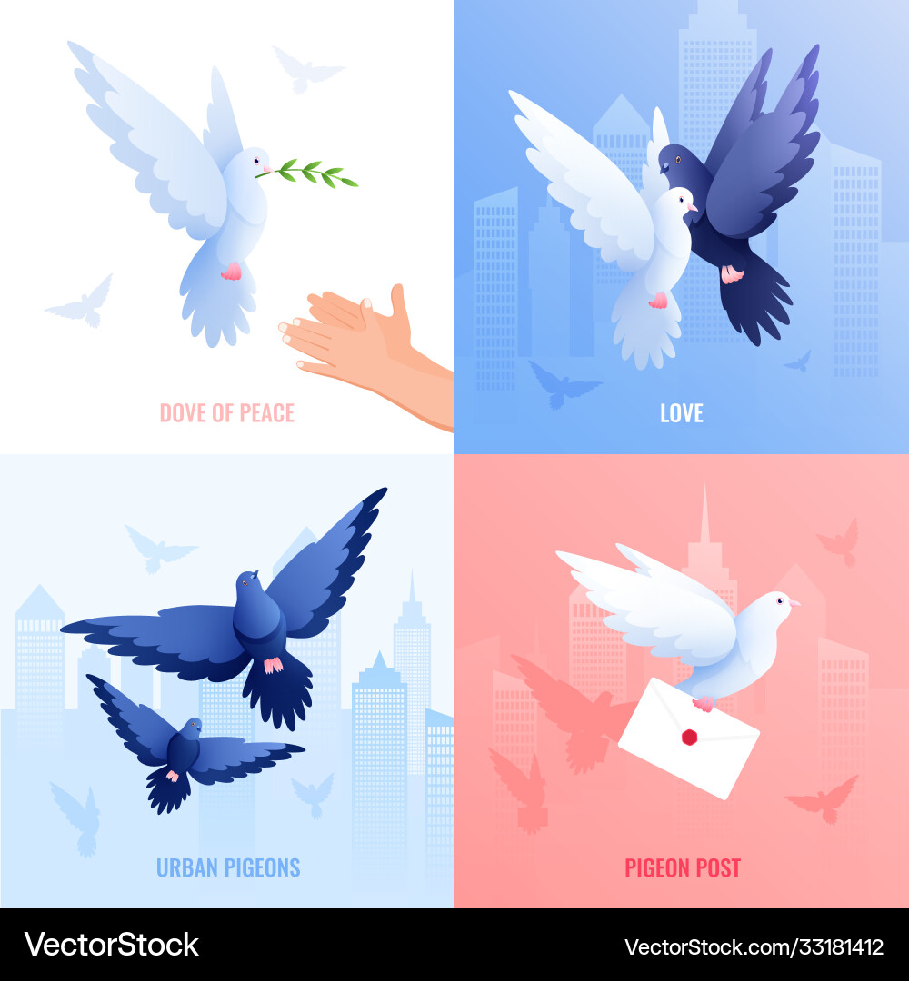 Pigeons flat design concept Royalty Free Vector Image