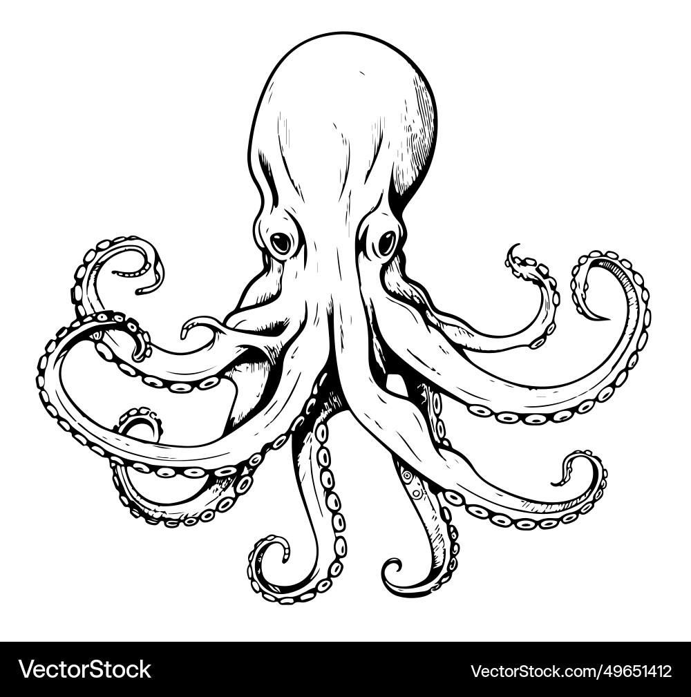 Squid ink sketch isolated on white background Vector Image