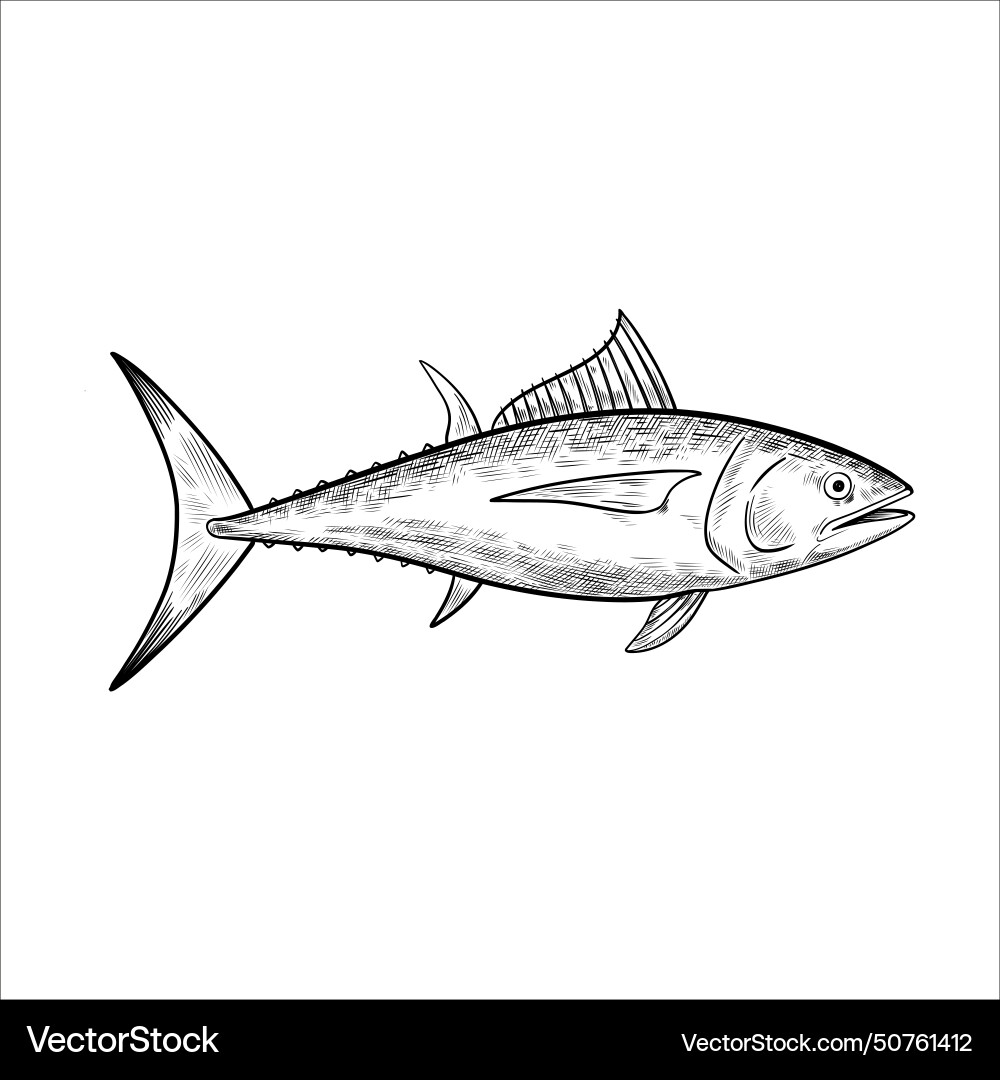 Tuna fish isolated design elements in black Vector Image