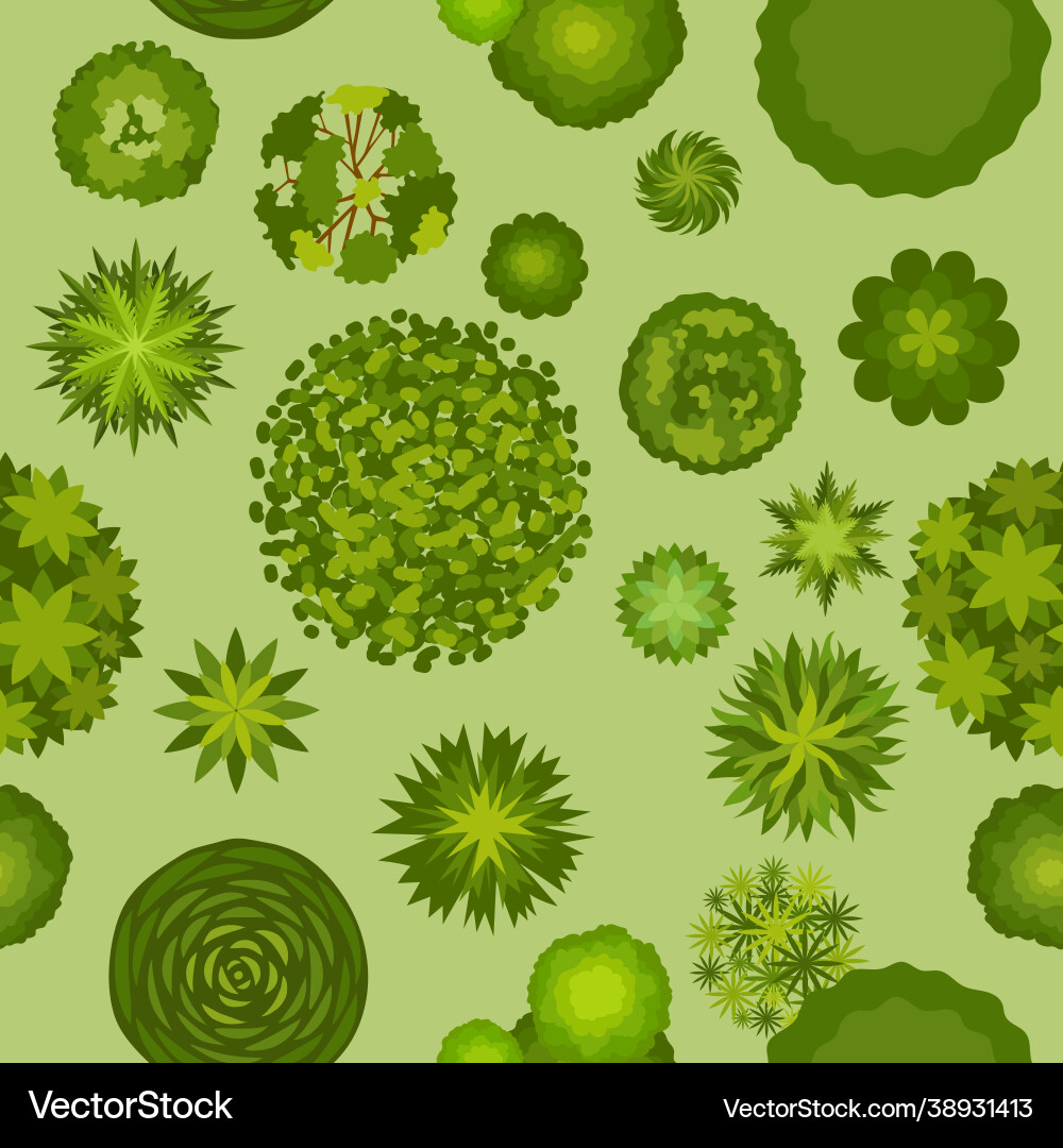 Forest landscape with trees top view seamless Vector Image