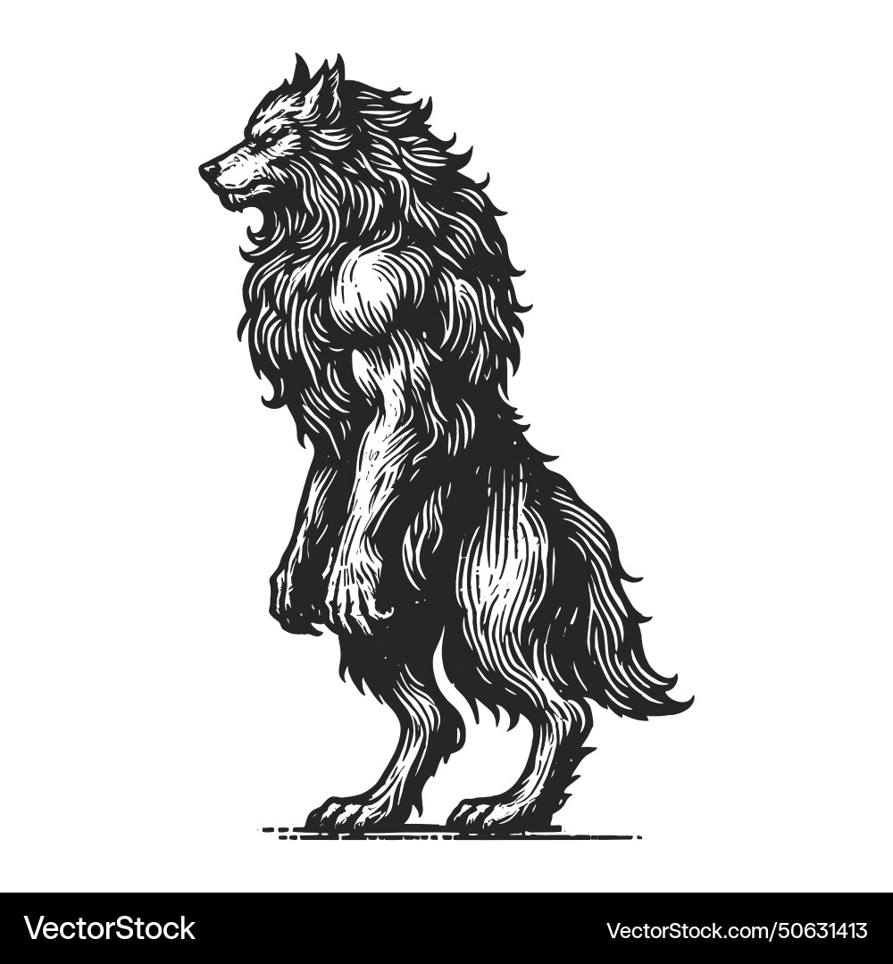 Majestic werewolf sketch Royalty Free Vector Image