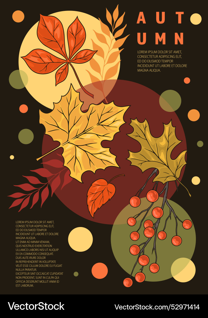 Autumn leaf fall colorful flyer Royalty Free Vector Image
