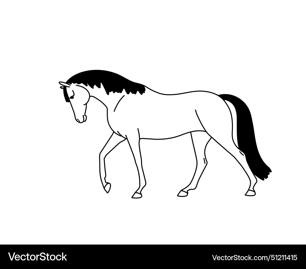 Simple drawing of a horse Royalty Free Vector Image