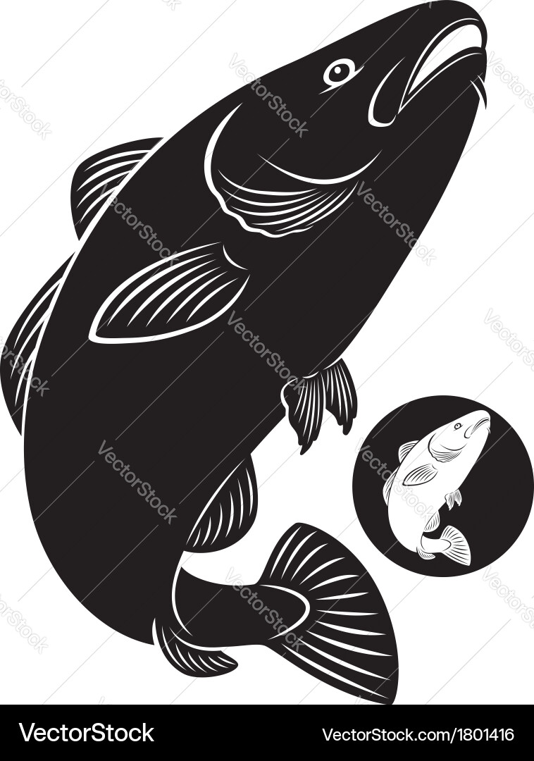 Cod Fish Illustration Royalty Free Vector Image
