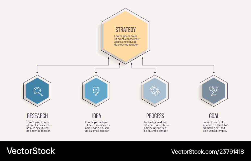 Business infographic organization chart with 4 Vector Image