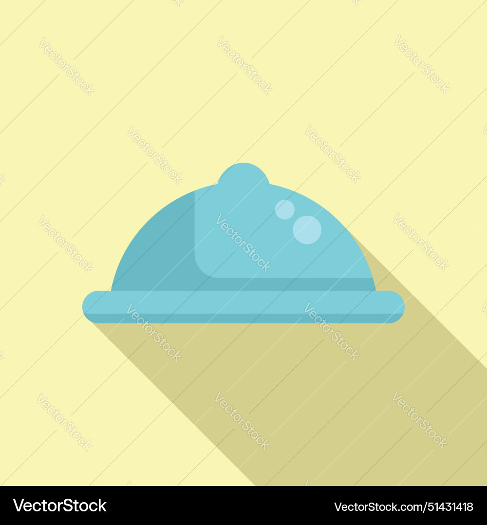Flat design of platter on colored Royalty Free Vector Image