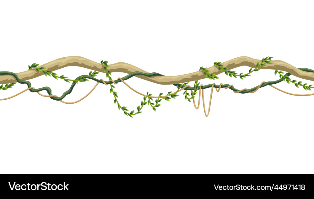 Rainforest Liana Stem Border Royalty Free Vector Image