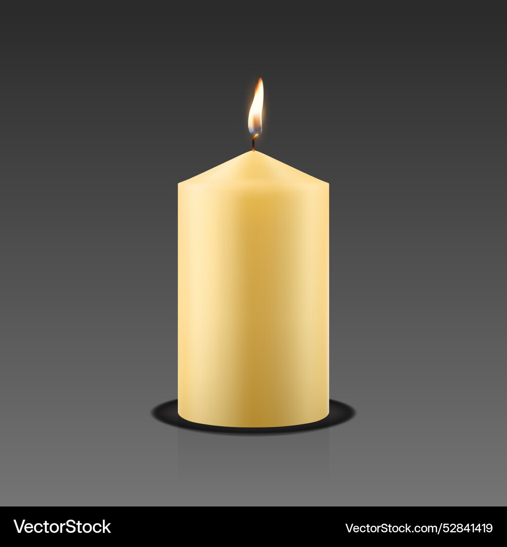 3d realistic paraffin wax burning party spa Vector Image