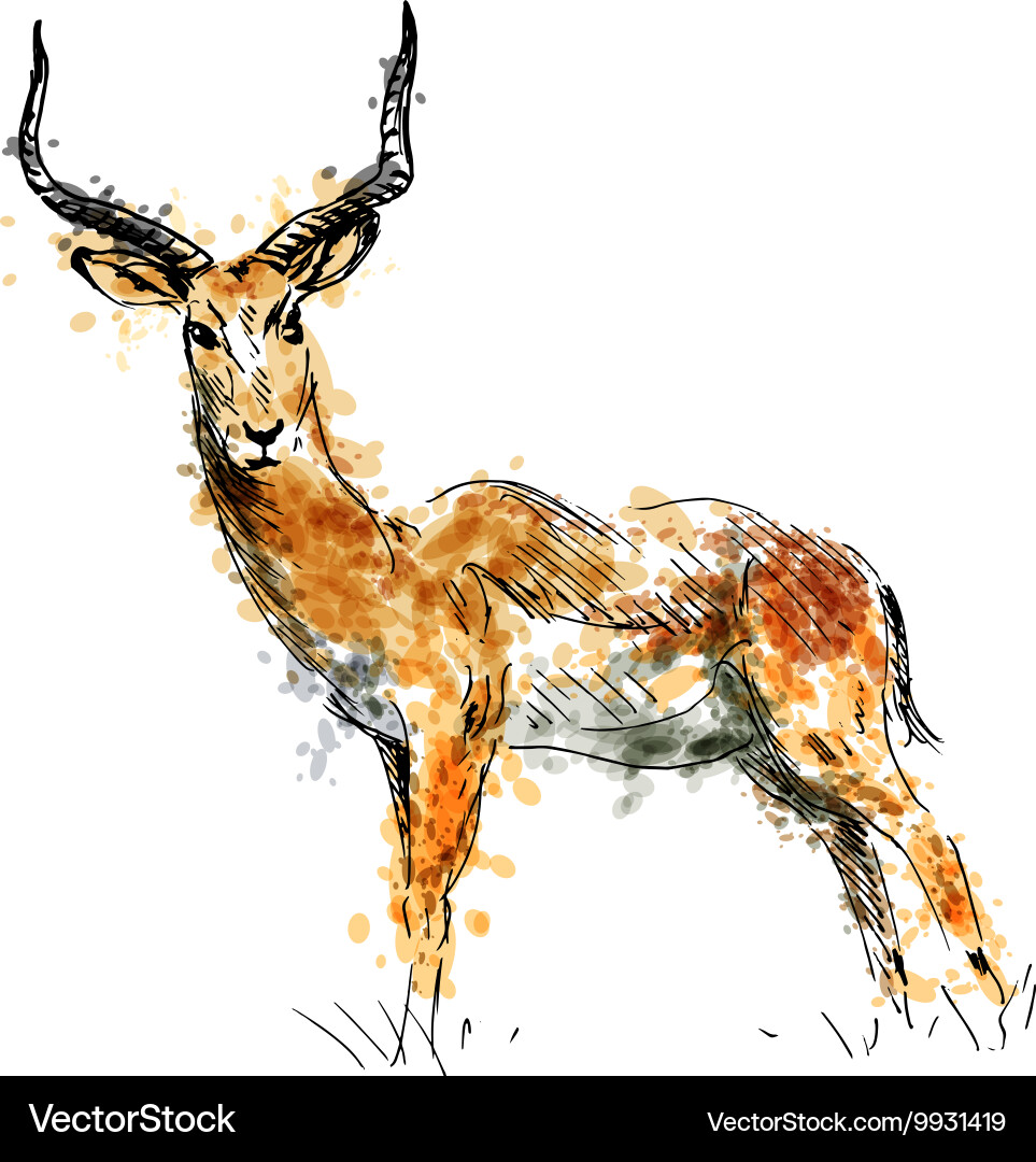 Colored hand drawing antelope Royalty Free Vector Image