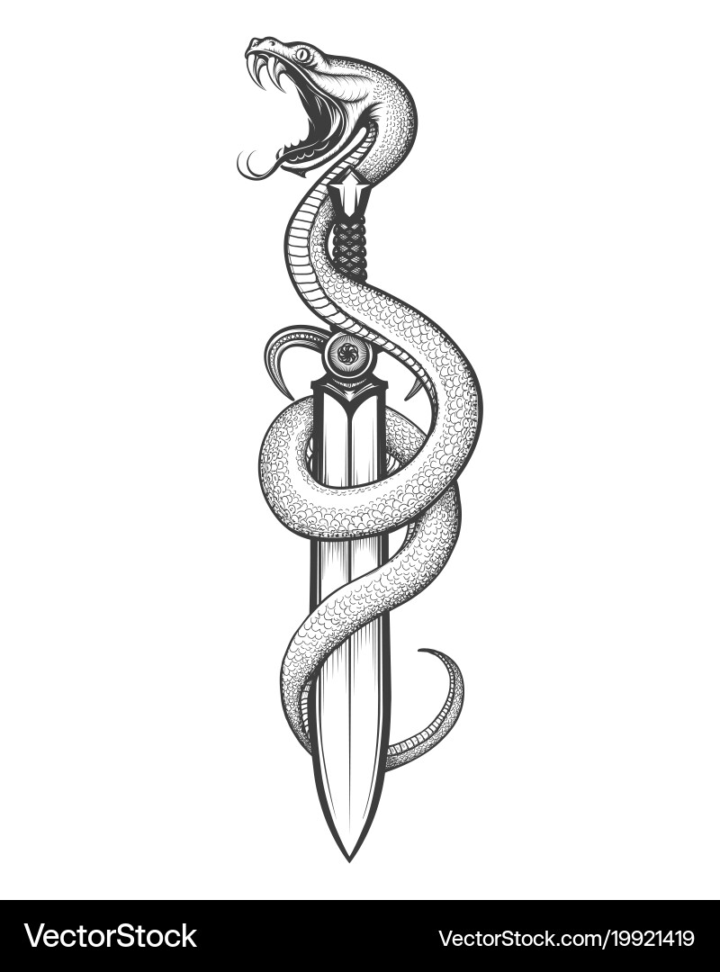 Snake on a sword Royalty Free Vector Image - VectorStock