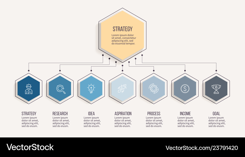 Business infographic organization chart with 7 Vector Image