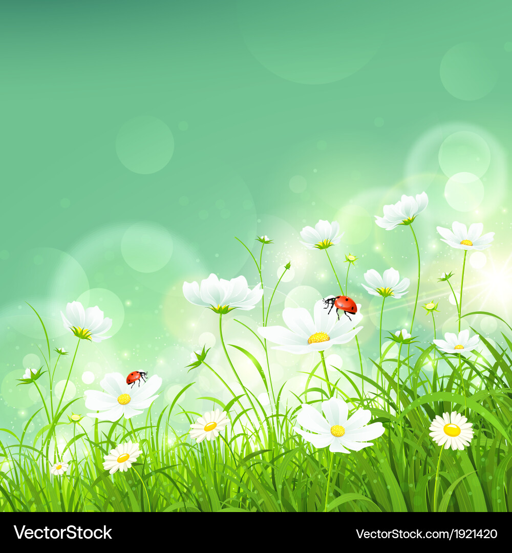 Natural Flower Background Images Nature Store Flower Background