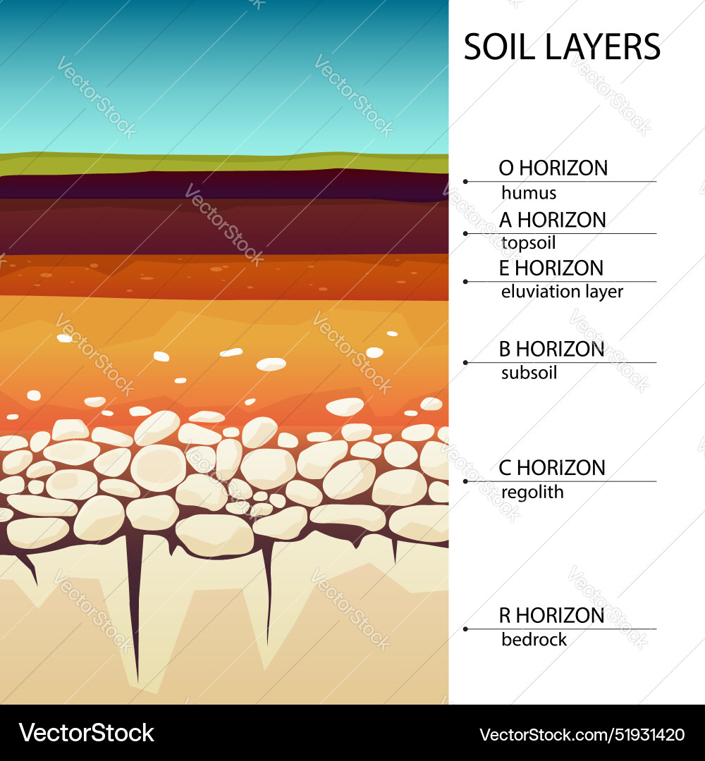 Soil layers diagram in cartoon style Royalty Free Vector