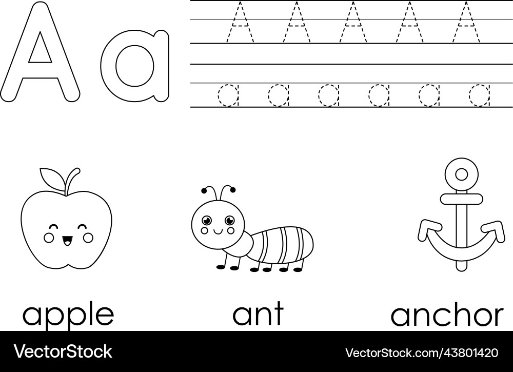 Tracing alphabet letters for kids learning letter Vector Image