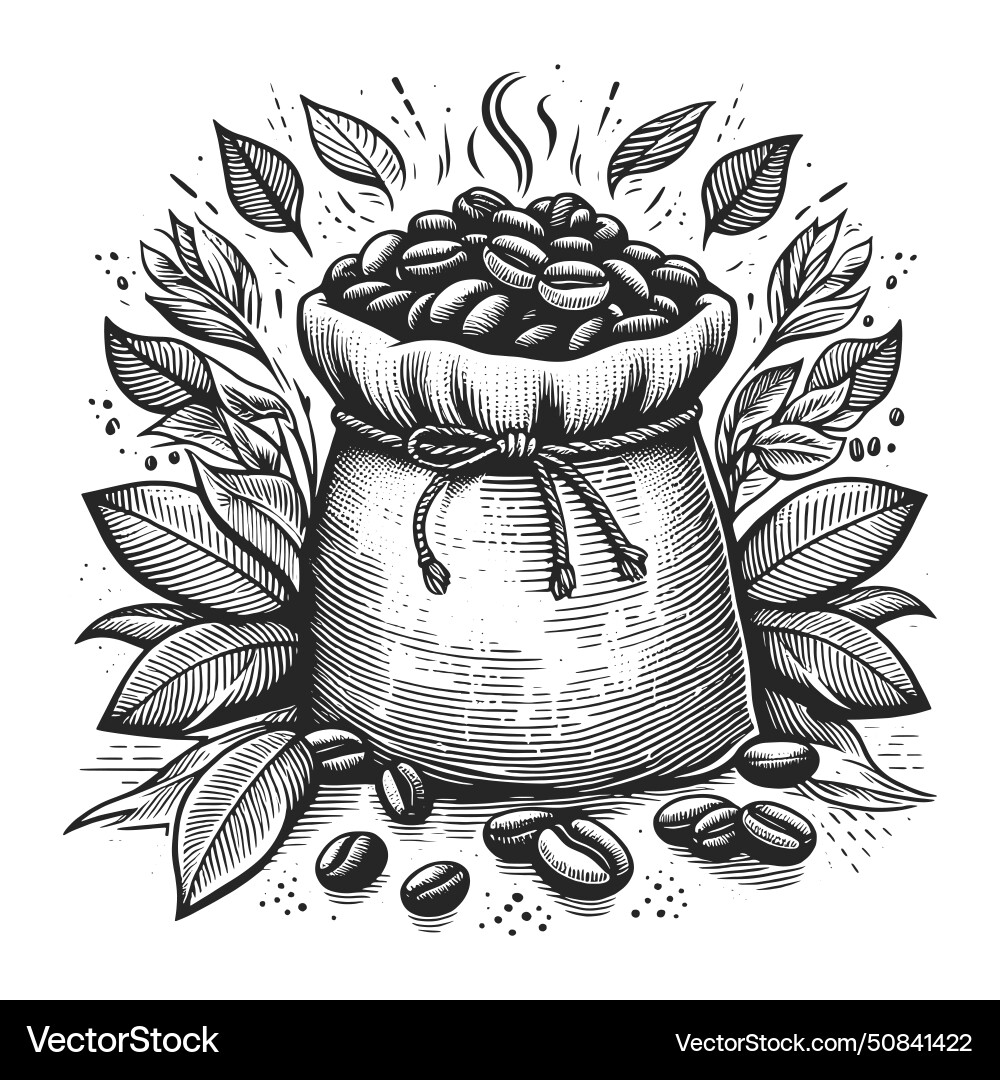 Coffee bean sack bag engraving Royalty Free Vector Image